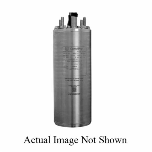 CentriPro® M30432 Premium Submersible Motor, 3 hp, 230 VAC, 60 Hz, 3 ph ...